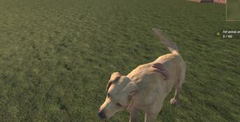 Animal Trainer Simulator Download - GameFabrique