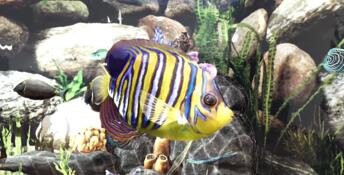 Aquatic Store Simulator Download - GameFabrique