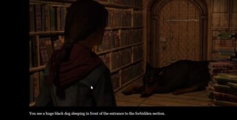 Harry Potter & the Codex of Corruption Download - GameFabrique