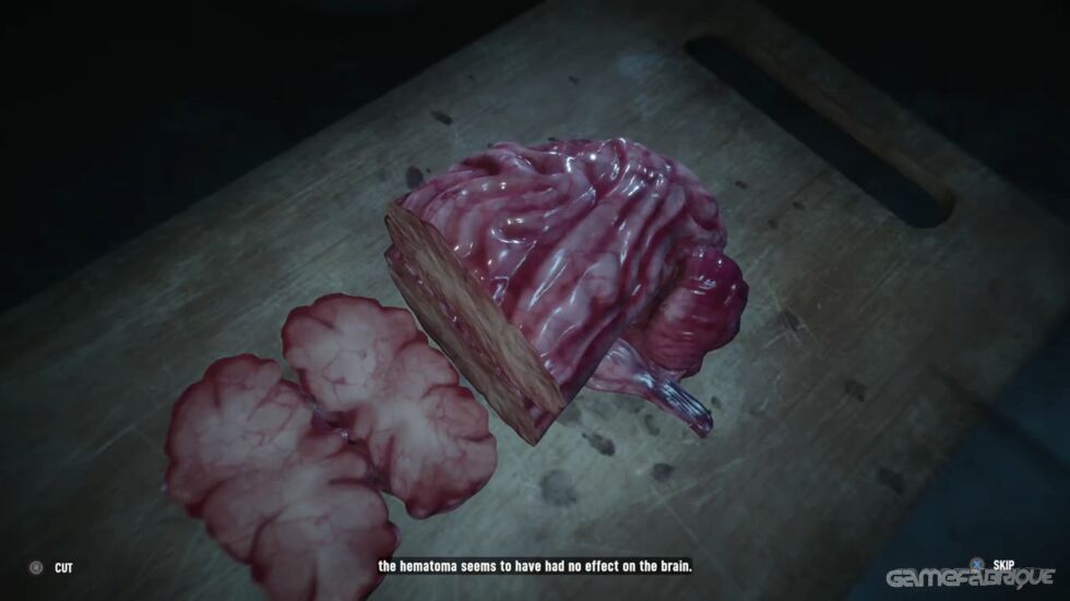 Autopsy Simulator Download - GameFabrique
