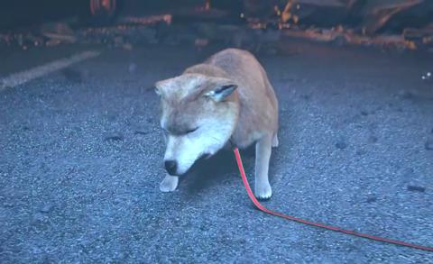 Project G.G. Download - GameFabrique