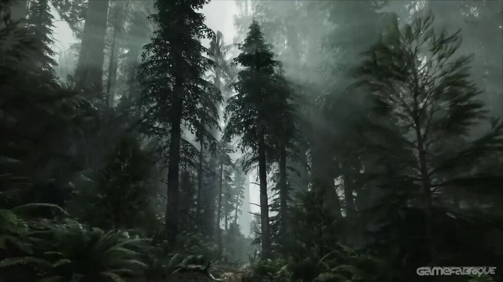 THE LOST WILD Download - GameFabrique