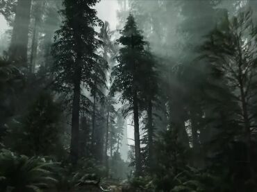 THE LOST WILD Download - GameFabrique