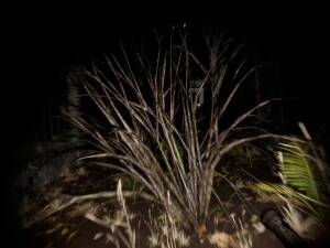 V696 Download - GameFabrique