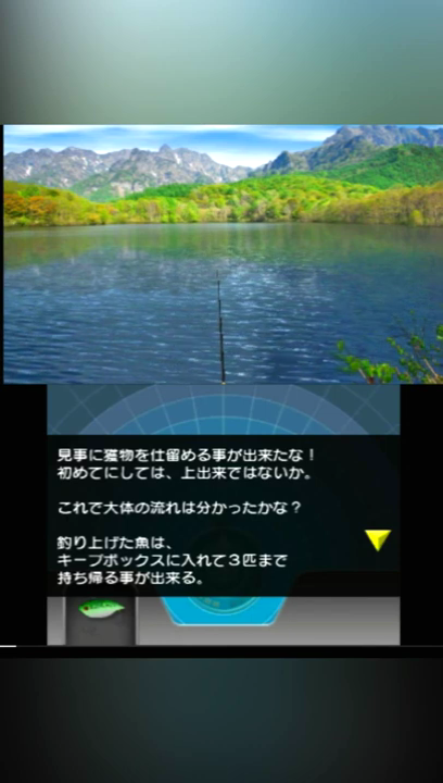 Fish Eyes 3D Download - GameFabrique