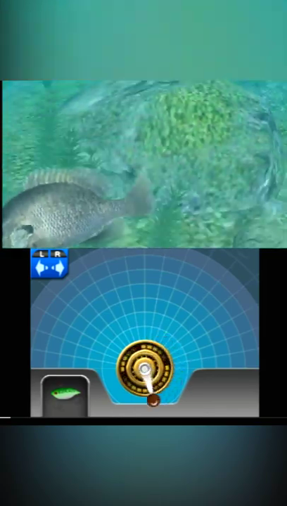 Fish Eyes 3D Download - GameFabrique