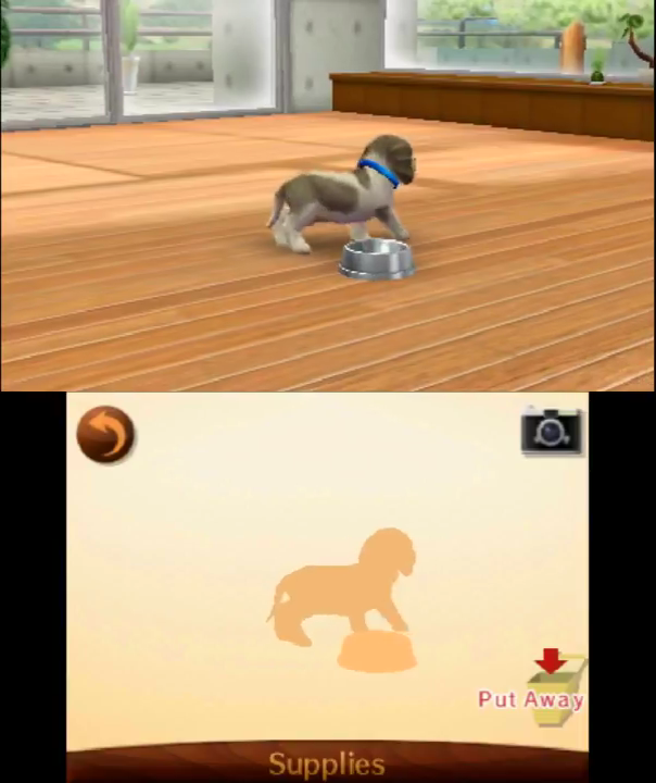 Nintendogs + Cats: French Bulldog & New Friends Download - GameFabrique