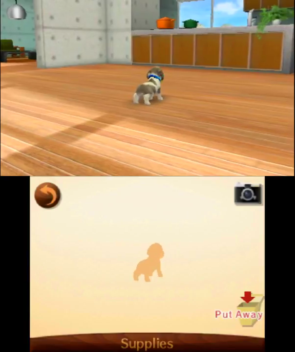 Nintendogs + Cats: French Bulldog & New Friends Download - GameFabrique