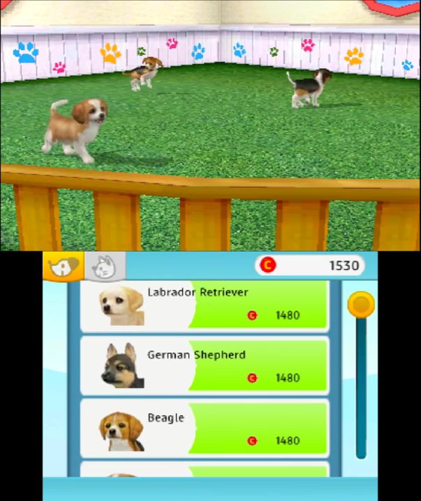 Petz Beach Download - GameFabrique