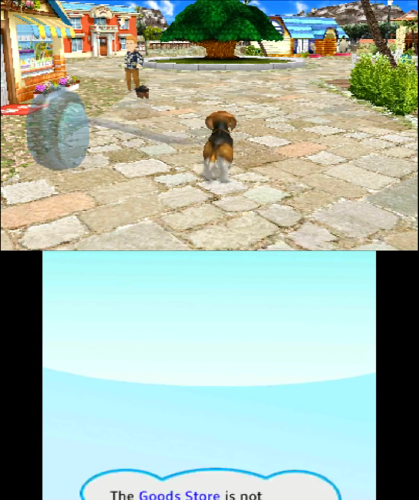 Petz Beach Download - GameFabrique